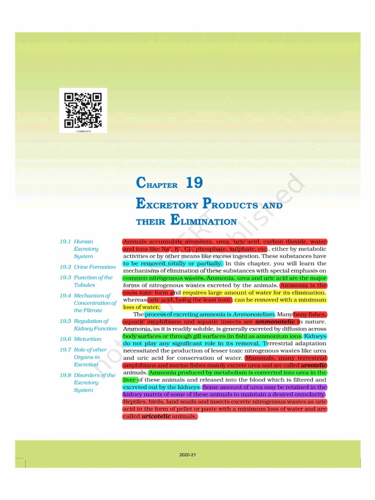 Ncert Highlight - Excretory Products and Their Elimination | PDF
