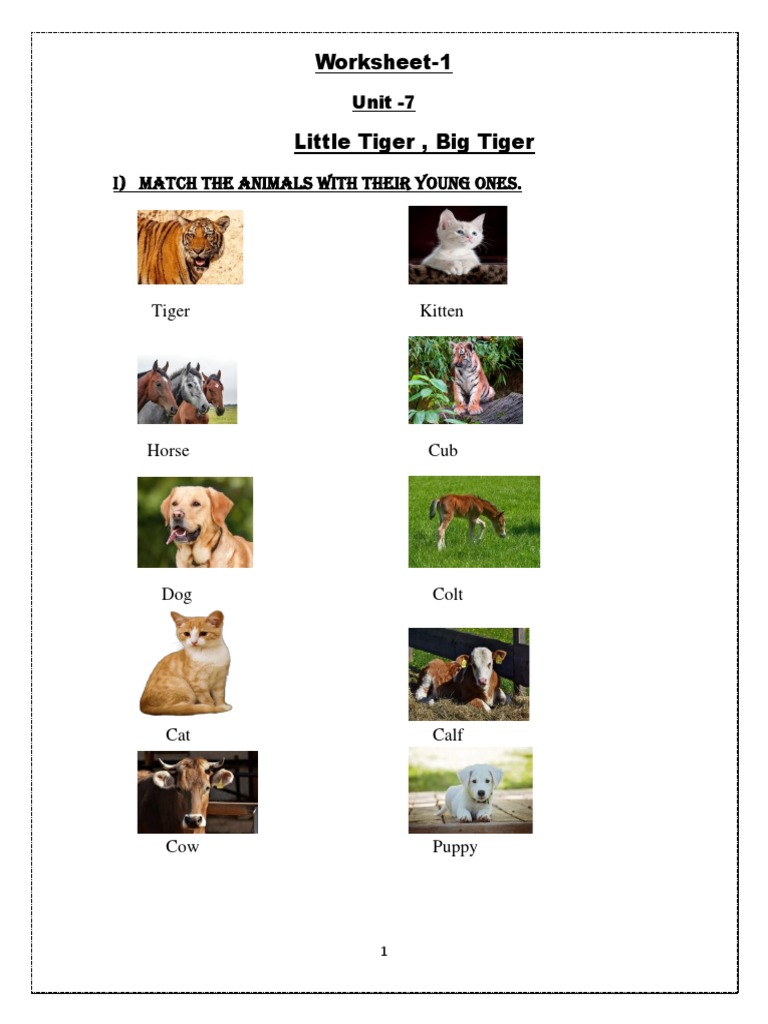 I) Match The Animals With Their Young Ones.: Worksheet-1 | PDF | Tiger ...