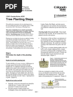 Bridge Grafting and Inarching Damaged Fruit Trees | PDF | Grafting | Trees