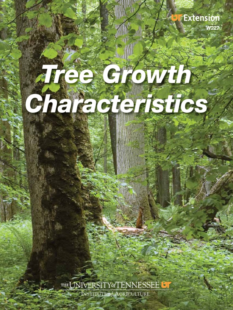 Tree Growth Characteristics | PDF | Wood | Leaf