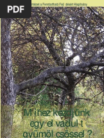 Simon Papp Sipos Gyumolcsfak Metszese | PDF