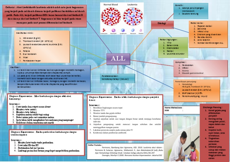 Contoh Woc Pdf