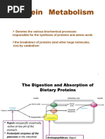 Lesson Plan: The Necklace Analysis | PDF