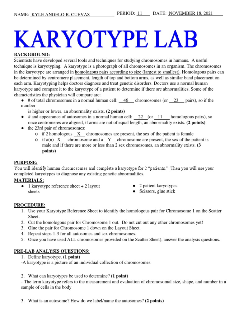 Karyotype Lab 1 Cuevas | PDF | Karyotype | Chromosome
