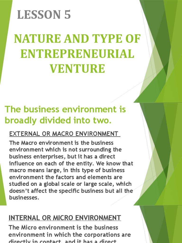 Types and Nature of Entrepreneurial Ventures | PDF | Corporations ...