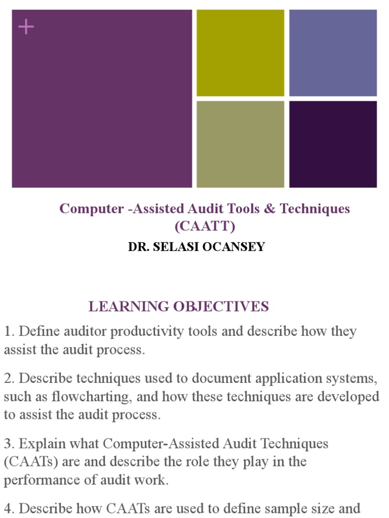 Computer - Assisted Audit Tools & Techniques (Caatt) : Dr. Selasi ...