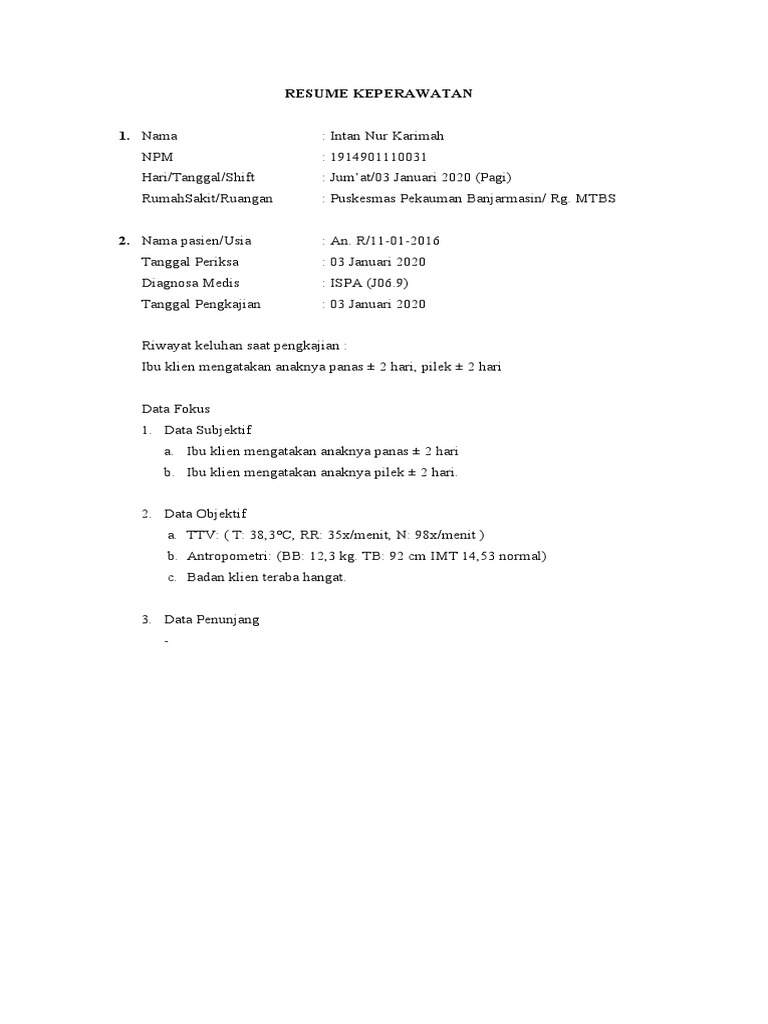 Intan NK Resume | PDF