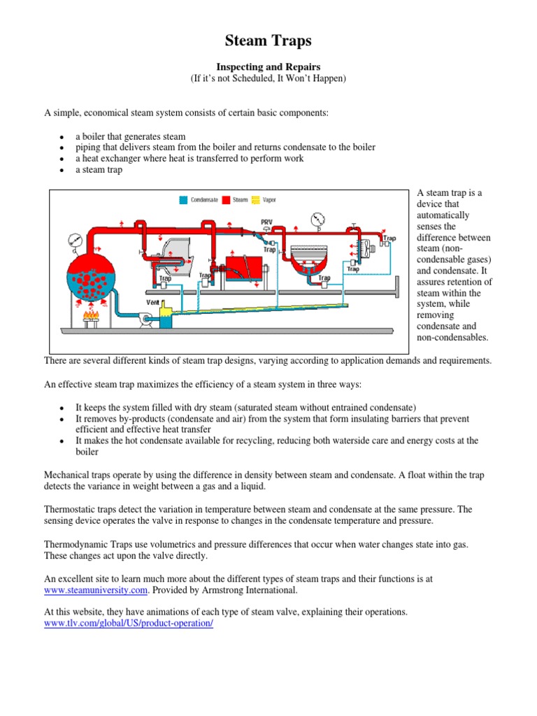 Steam Traps | PDF | Ultrasound | Boiler