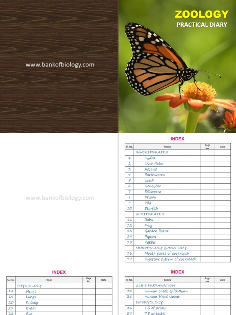 Zoology Practical Book | PDF