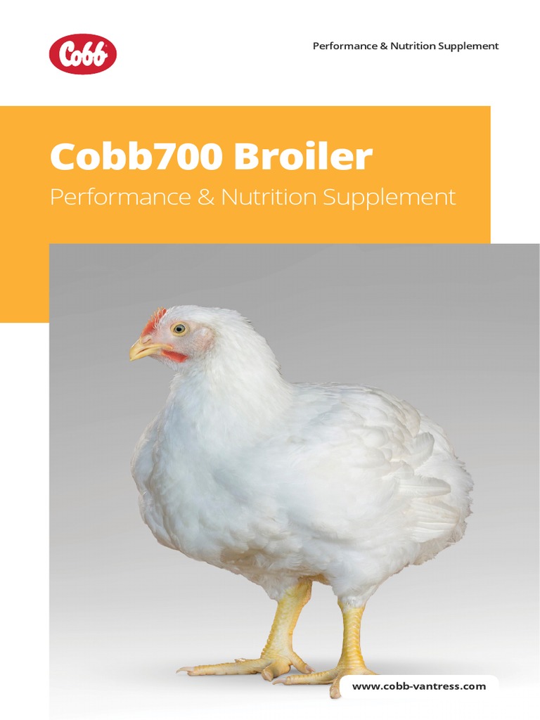 Cobb700 Broiler: Performance & Nutrition Supplement | PDF | Vitamin ...