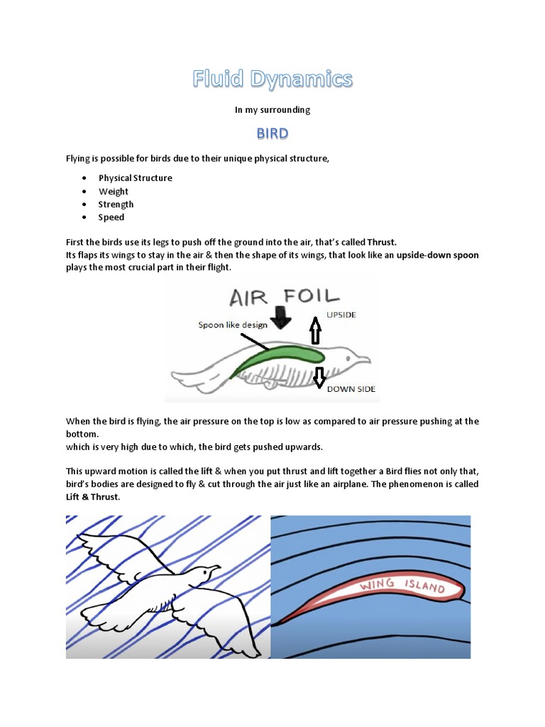 Fluid Dynamic Example | PDF