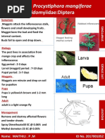 Blotter Test Method | PDF | Seed | Germination