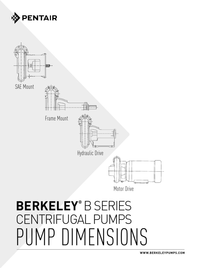 Berkeley: B Series Centrifugal Pumps | PDF | Pump | Chemical Engineering