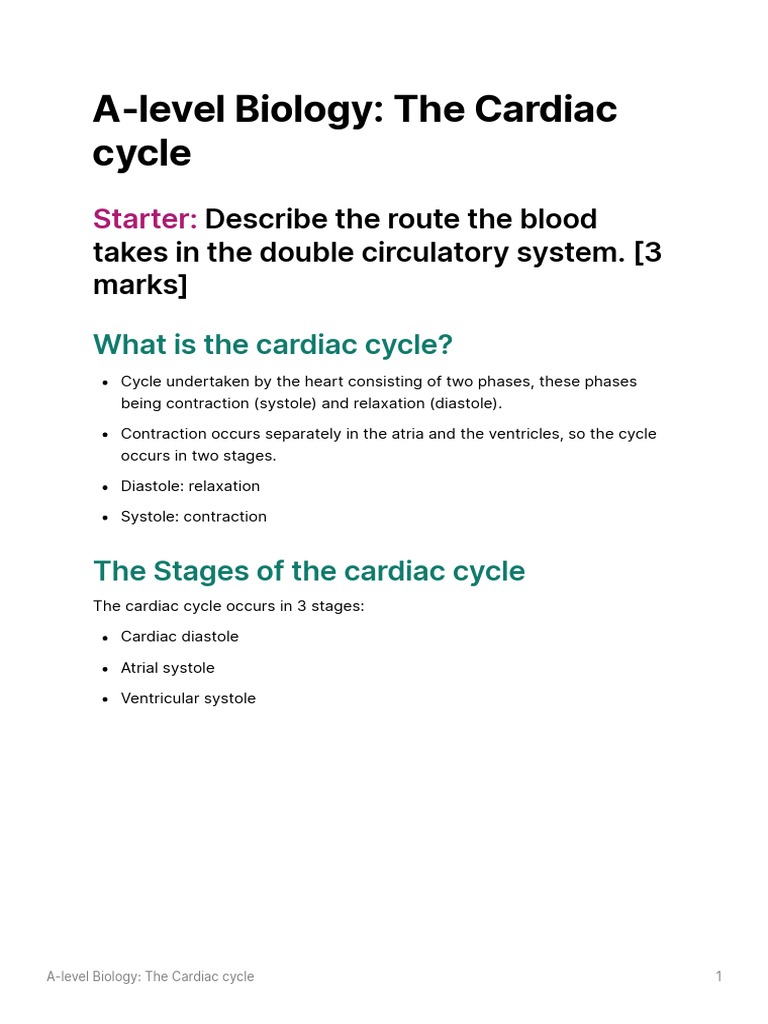 Cardiac Cycle Overview for A-Level Biology | PDF | Ventricle (Heart ...