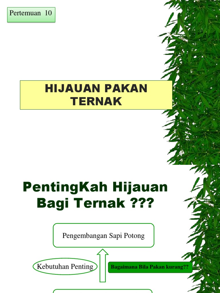 Pentingnya Hijauan Pakan Ternak Sapi | PDF