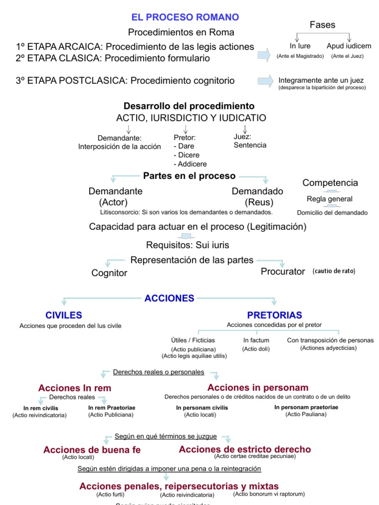 Esquema Leccion 7 - Acciones | PDF | Ley Pública | Judicaturas
