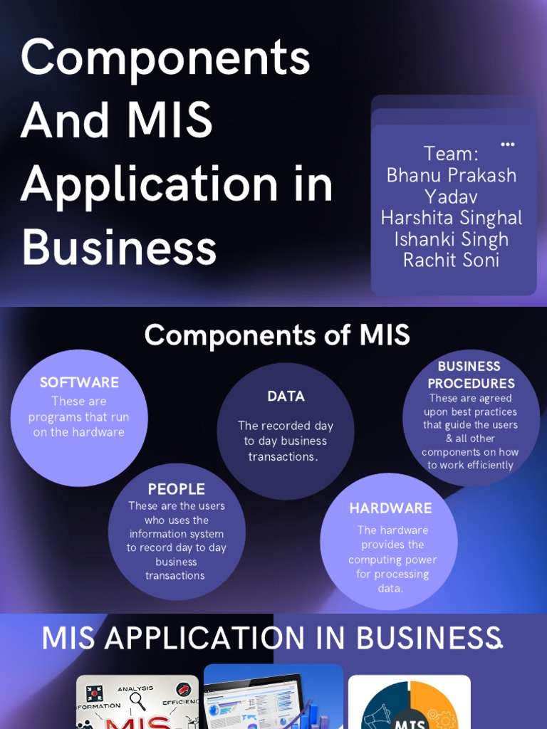 Components & MIS Application in Business | PDF | Management Information ...
