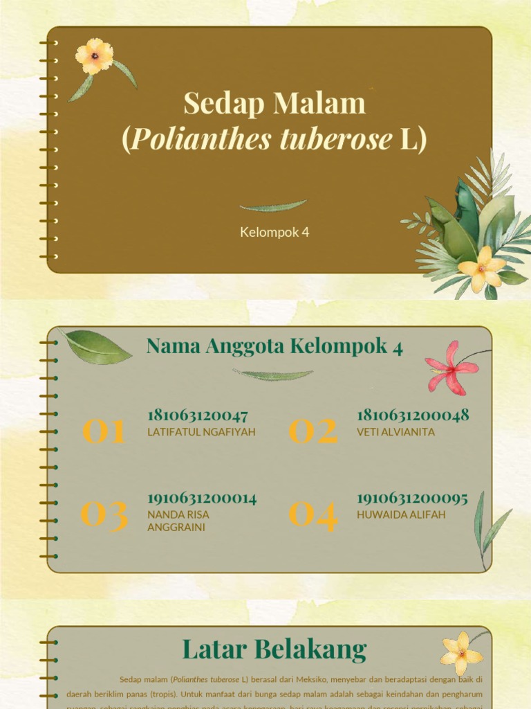 Panduan Budidaya Bunga Sedap Malam | PDF