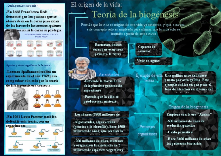 Infografia Sobre La Teoria de La Biogenesis | PDF | Abiogénesis | Biología