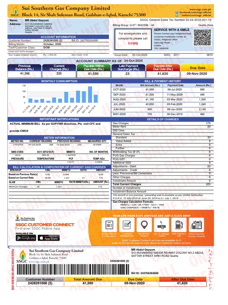 Najeeb Gas Bill | Download Free PDF | Public Finance | Government Finances
