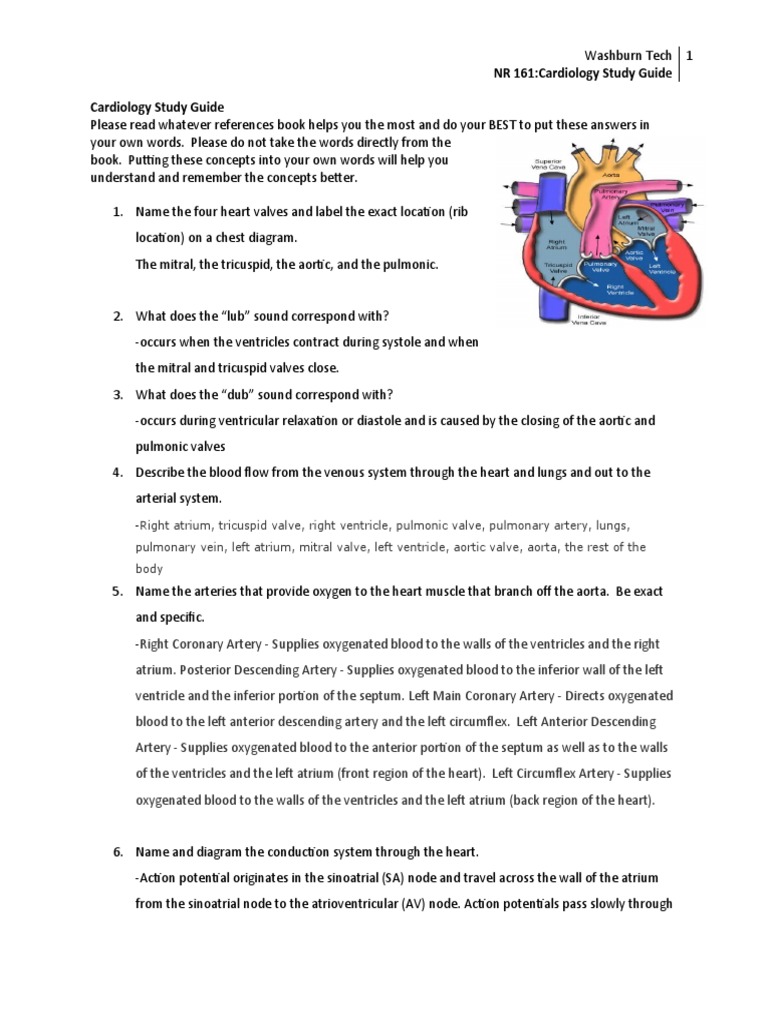 NR 161:cardiology Study Guide Cardiology Study Guide | PDF | Ventricle (Heart) | Atrium (Heart)