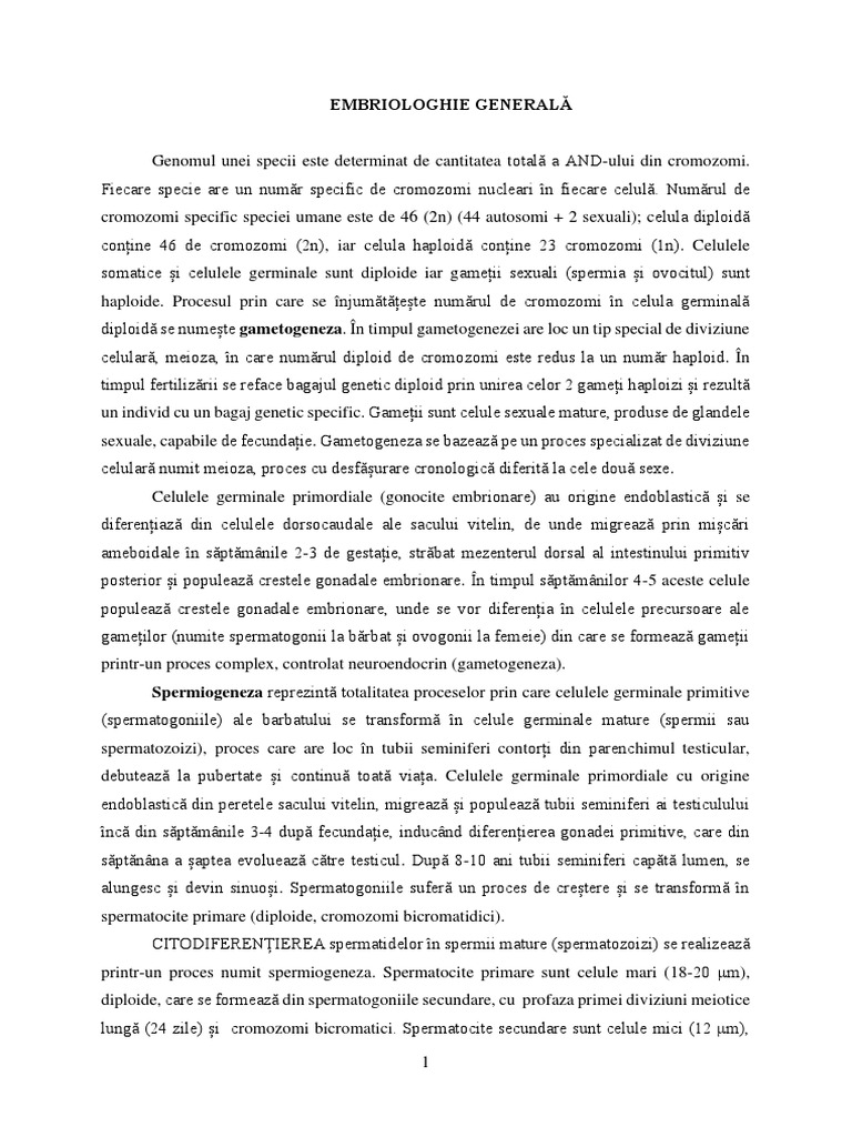 Embriologie Amg | PDF