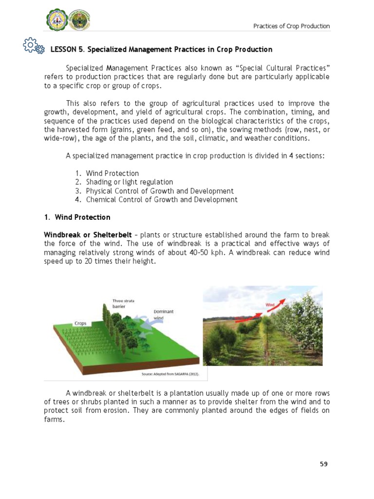 Specialized Crop Management Practices | PDF | Plant Hormone | Auxin