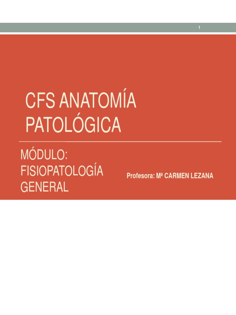 FISIO T-4. CONCEPTOS BÁSICOS PATOLOGÍA (Convertido) | PDF | Atrofia | Ultrasonido médico