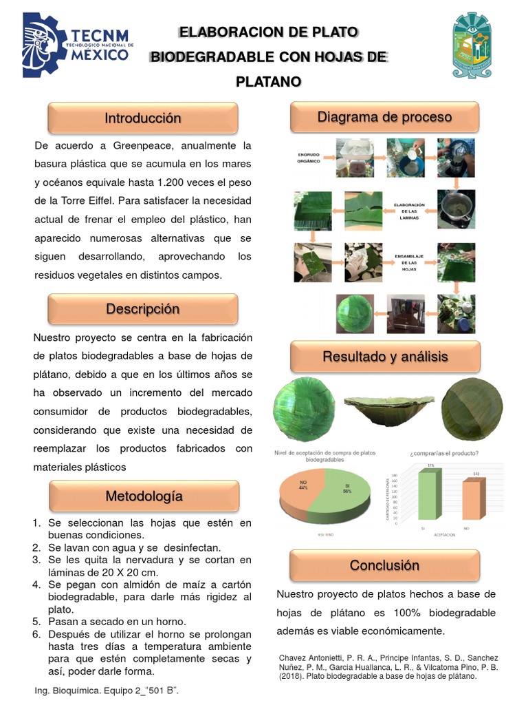 Cartel - Plato Biodegradable - E2 - 501 B | PDF | Hogar, jardinería y ...