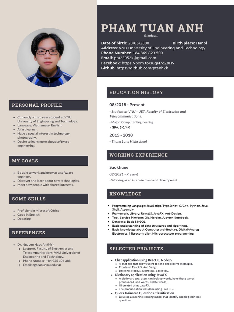 Pham Tuan Anh: Personal Profile | PDF | Application Software | Software