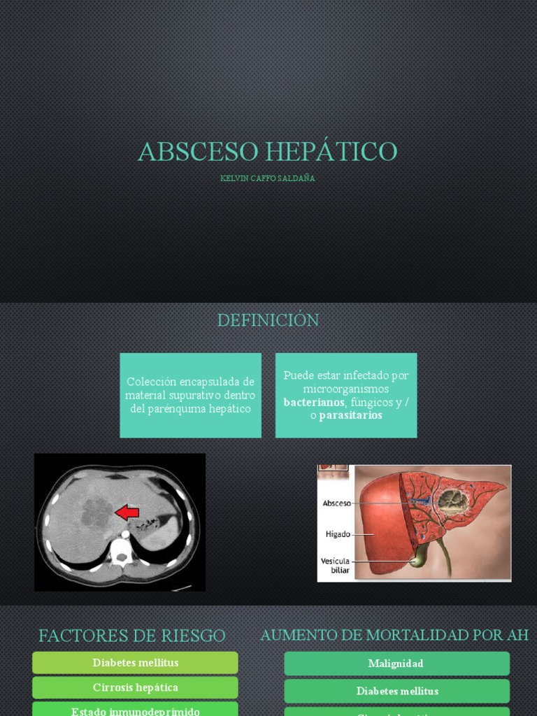 Absceso Hepático | PDF | Órgano (anatomía) | Enfermedades y trastornos