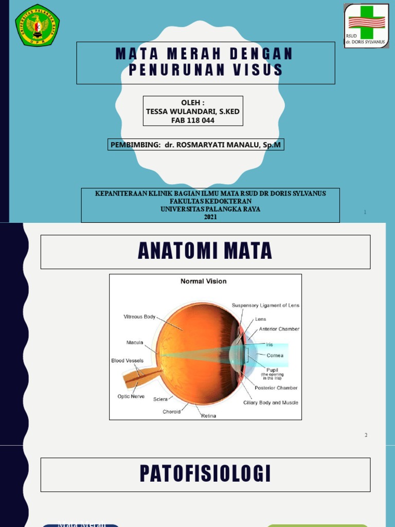 Mata Merah Dengan Penurunan Visus | PDF