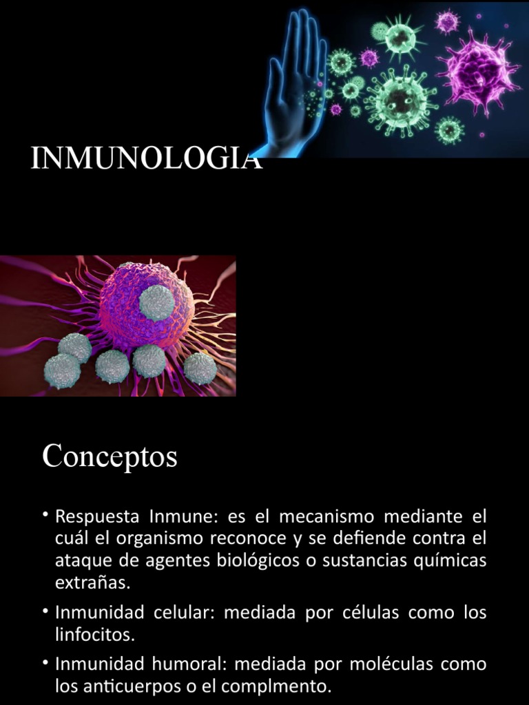Conceptos Básicos de Inmunología | PDF | Sistema inmune | Anticuerpo