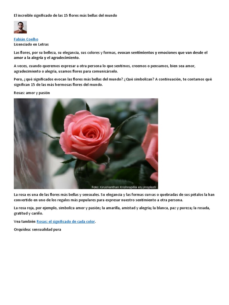 Significado de Las Flores | PDF | Orchidaceae | Jardinería