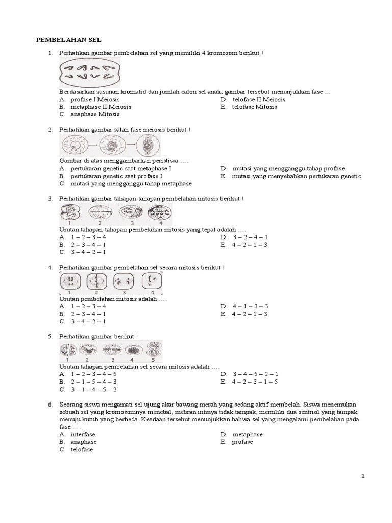 Uh Pembelahan Sel | PDF