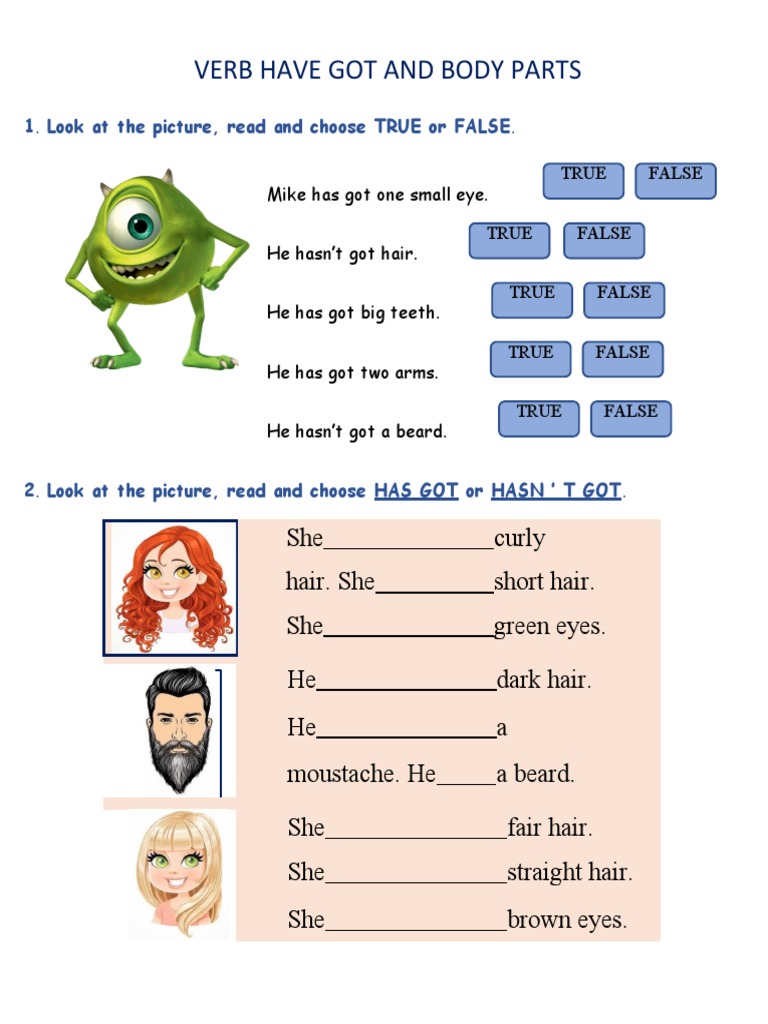 Verb Have Got and Body Parts | PDF | Human Anatomy