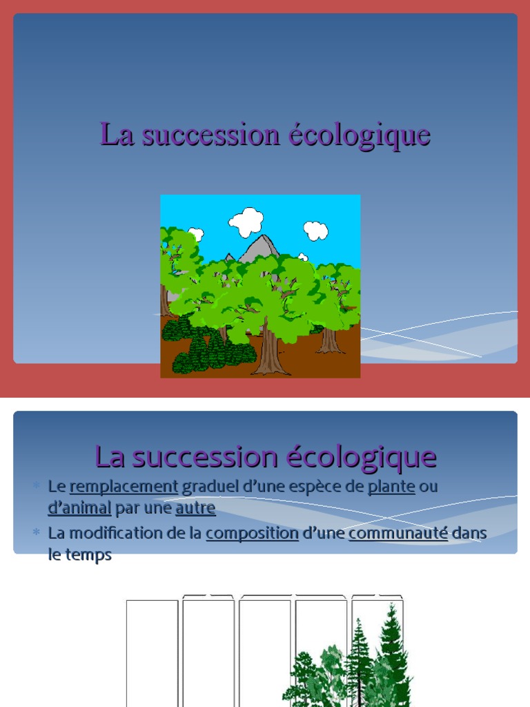 La Succession Écologique | PDF