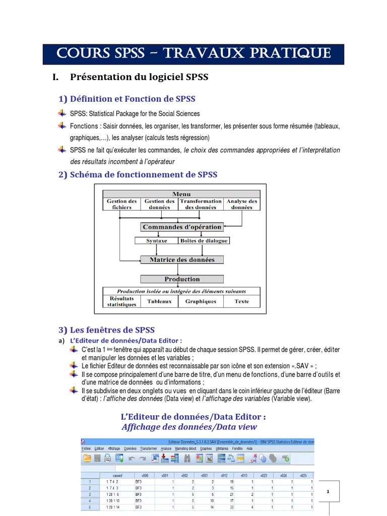 Introduction et Fonctionnalités de SPSS | PDF | SPSS | Fichier informatique