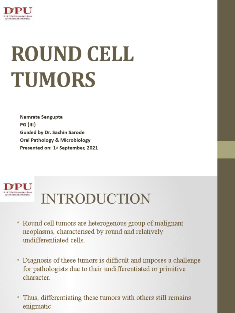 Round Cell Tumors | Download Free PDF | Lymphoma | Histology