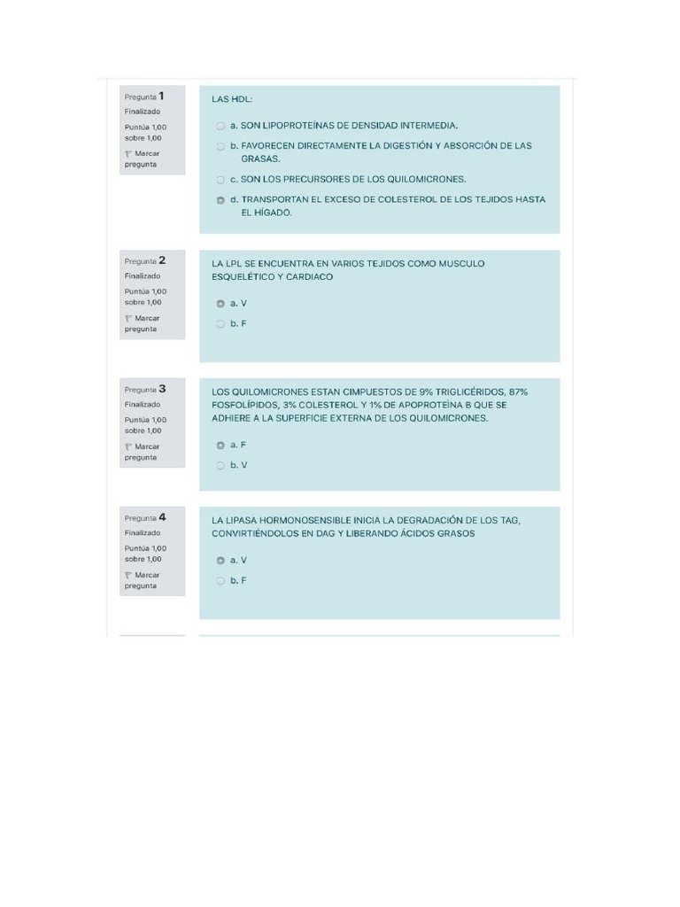 Segundo Examen | PDF