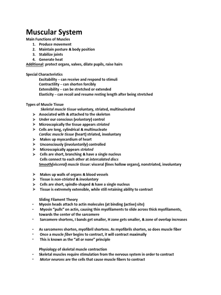 Muscular System: Skeletal Muscle Tissue Voluntary, Striated ...