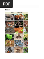 Rishi Garga. The Origin of Garga Brahmin Gotra | PDF | Krishna | Hinduism