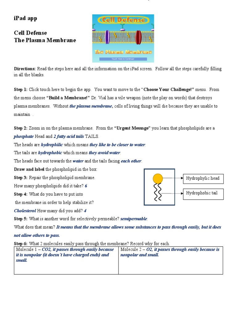 Cell Defense Worksheet | Download Free PDF | Cell Membrane | Biophysics