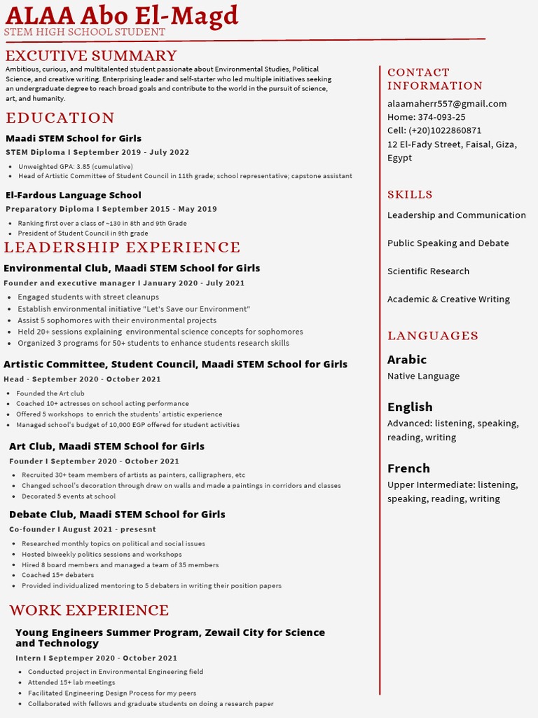 Alaa Abo El-Magd Resume | PDF | Science, Technology, Engineering, And ...