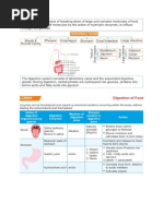 Summative Test: Science 8 - Module 1 | PDF | Digestion | Small Intestine