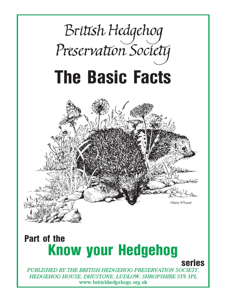 The Basic Facts: Know Your Hedgehog | PDF