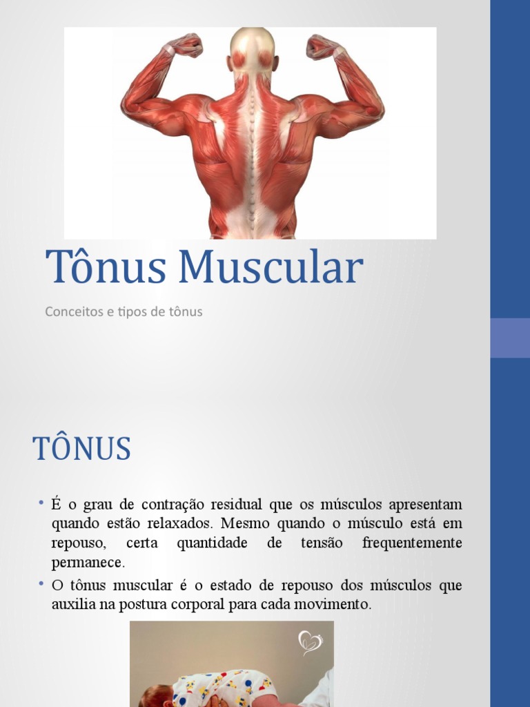 Tônus Muscular - Atual | PDF | Músculo | Sistema nervoso