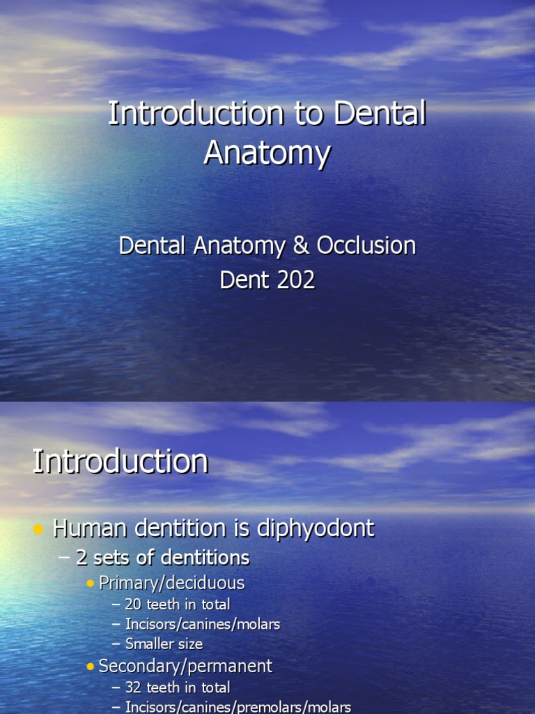 Lecture 1, Introduction To Dental Anatomy | PDF | Dental Anatomy ...