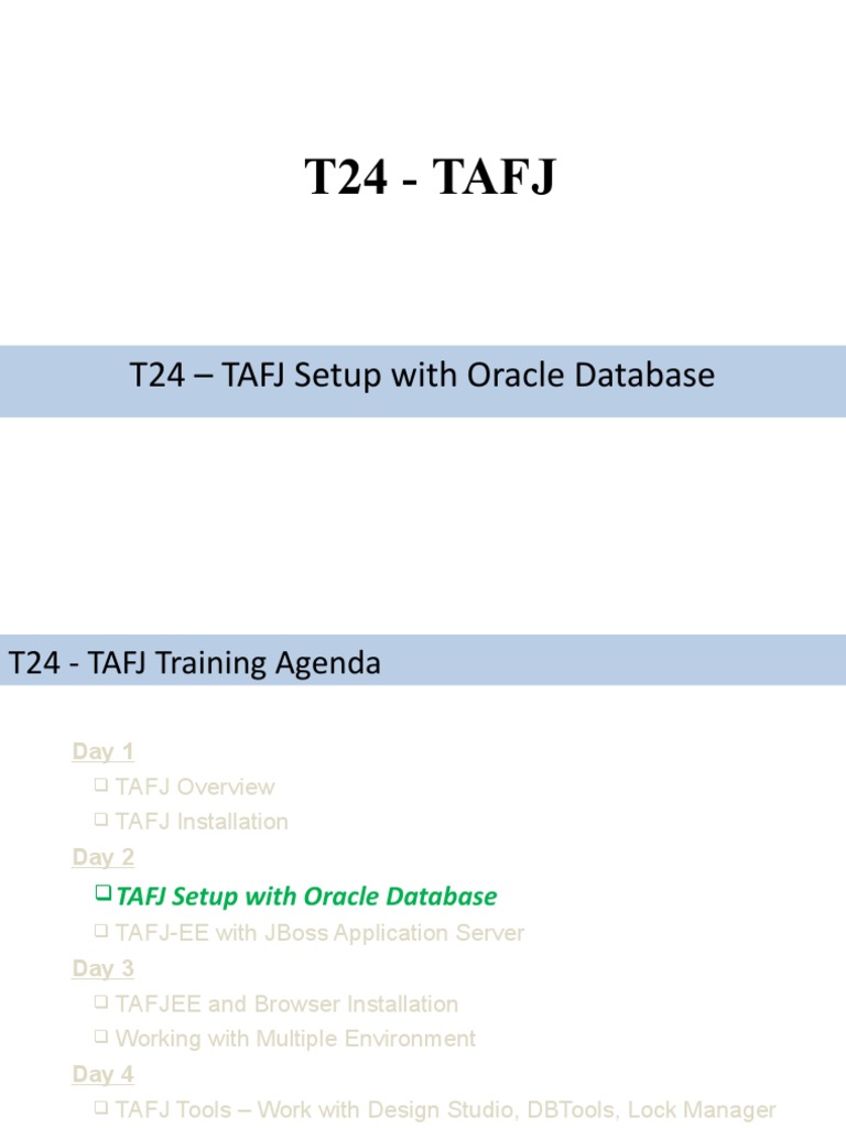Configuring Oracle Database 12c to Work with the T24 - TAFJ Application | PDF