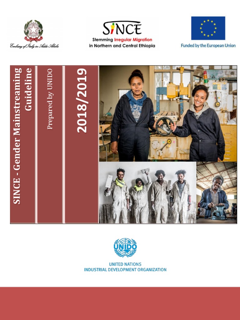 Gender Mainstreaming Guideline | PDF | Gender Equality | Gender Studies